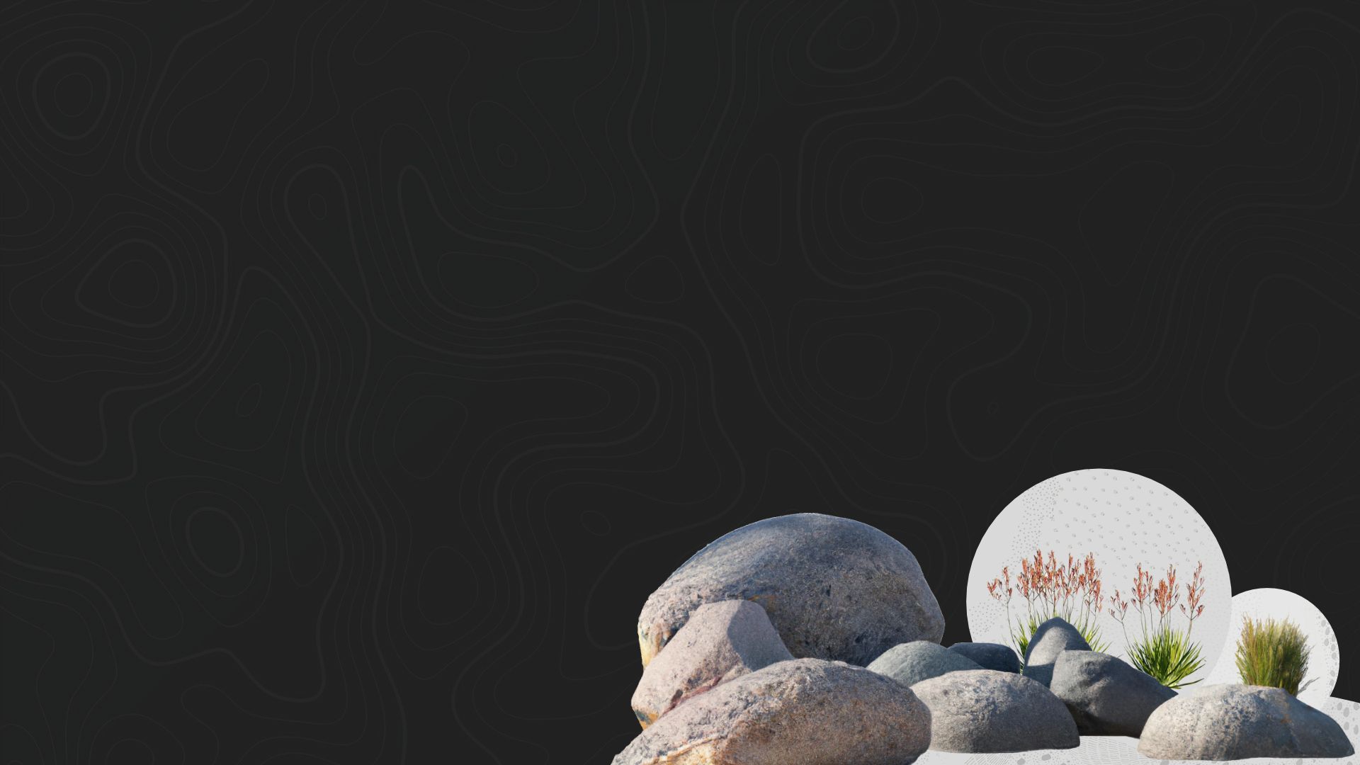 Leo Perkins - Biotao